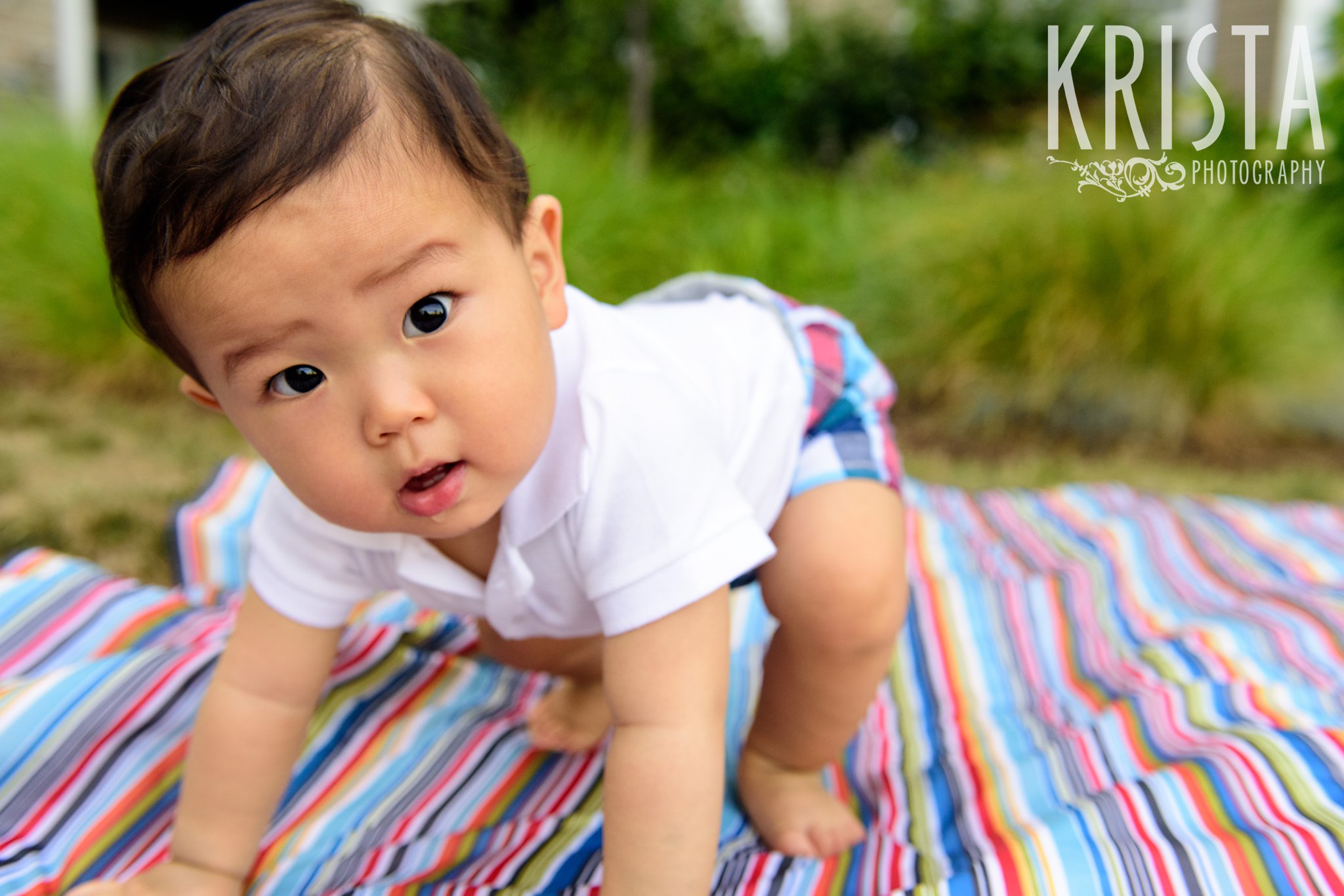 Baby Matty - One Year Portraits - Krista Photography Blog